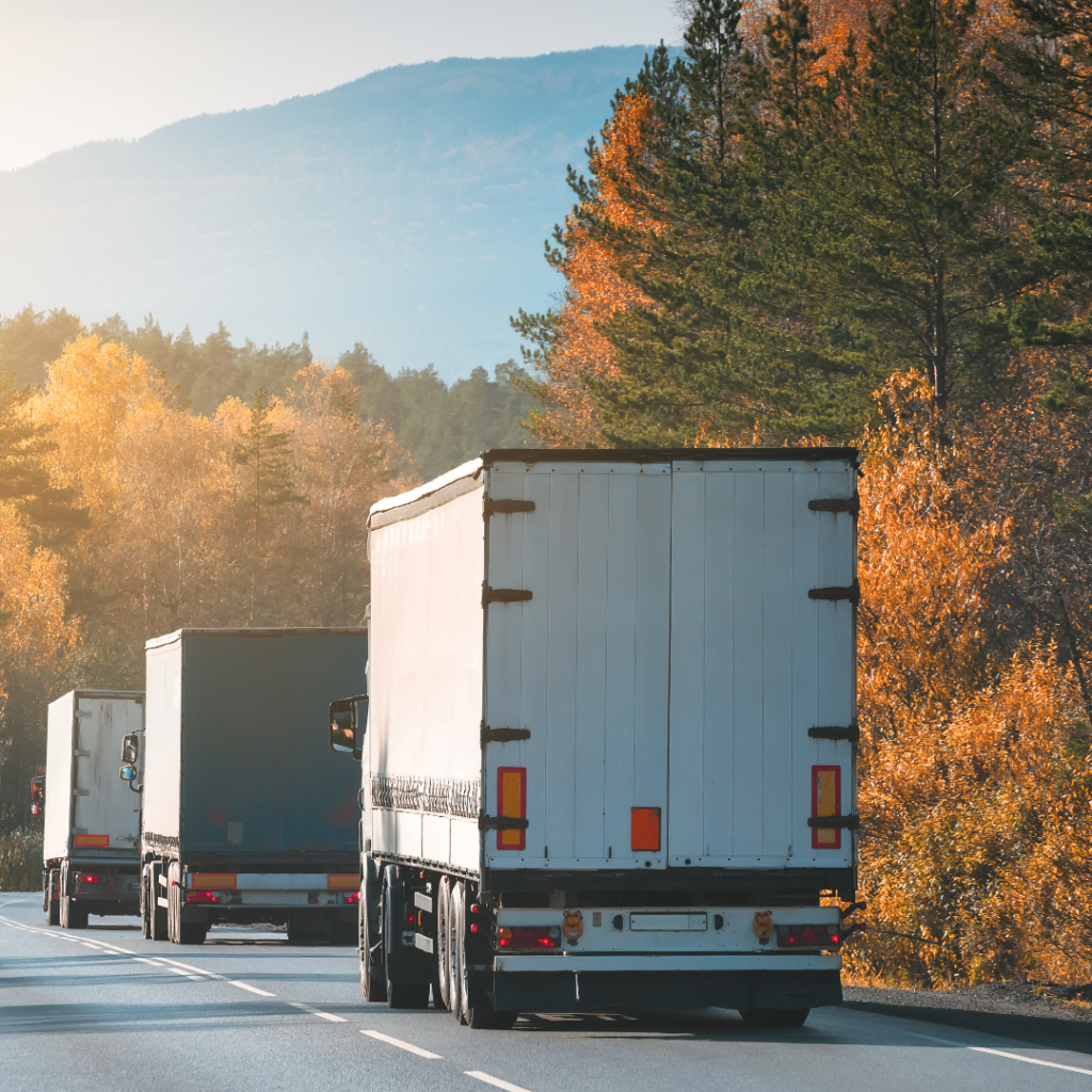 Common Customs Clearance Mistakes and How to Avoid Them | ExFreight | USA