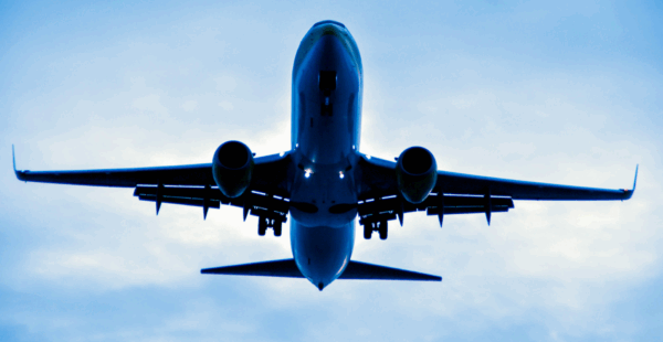 Pallet Height Limits in Air Freight: Key to Compliance